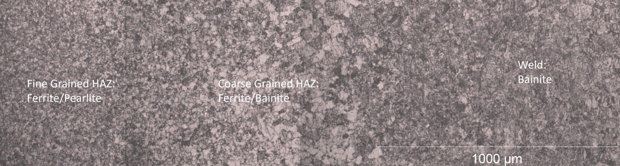 In-Situ Metallography